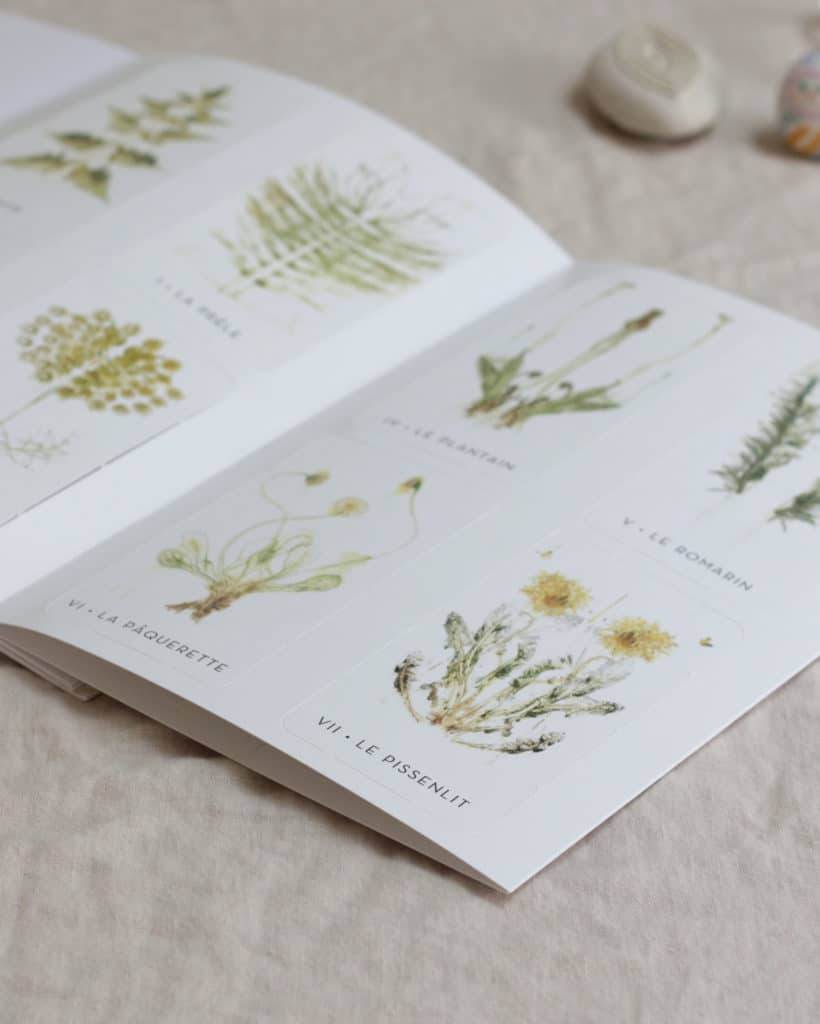 Le tarot des plantes sauvages • Womoon