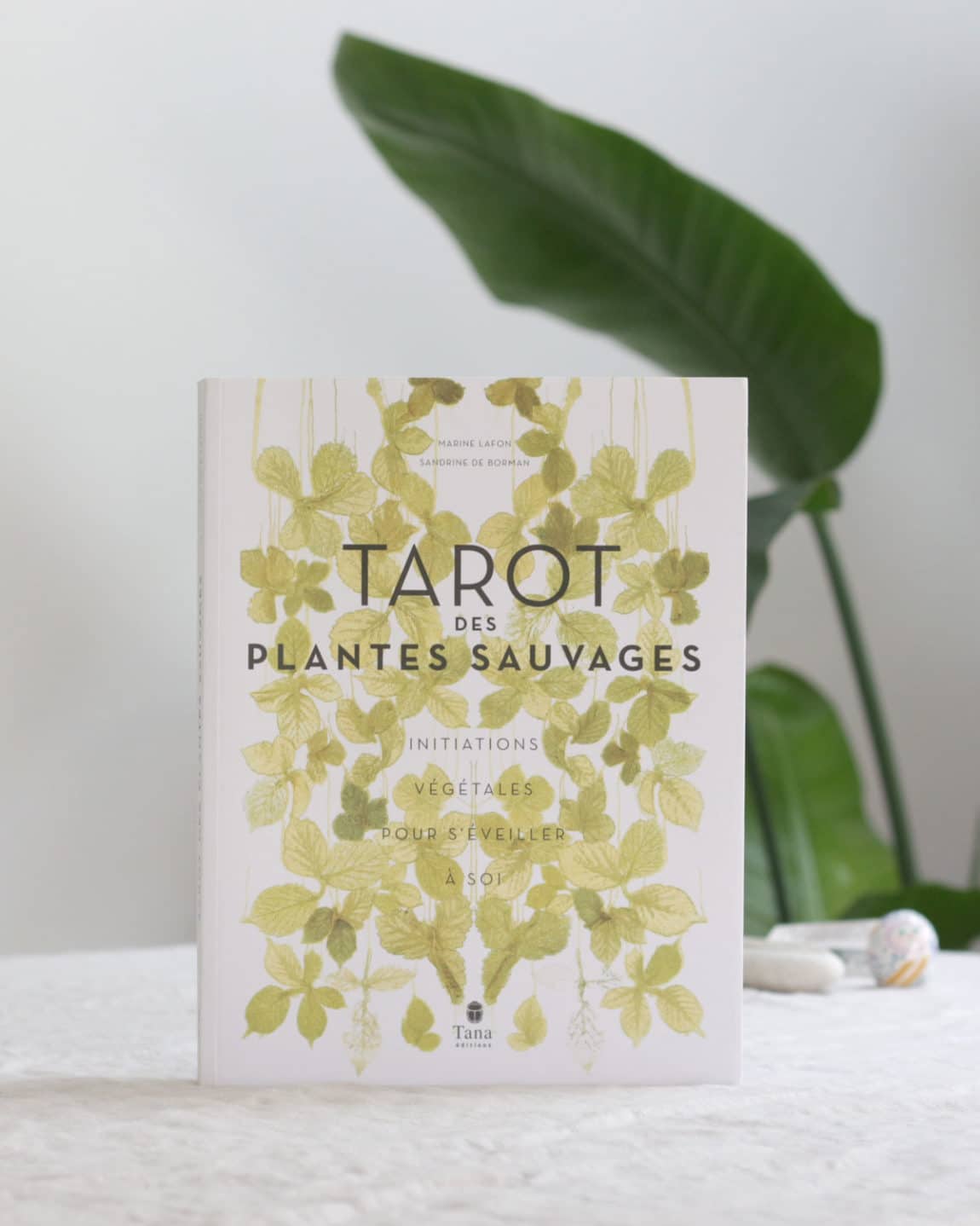 Le tarot des plantes sauvages • Womoon